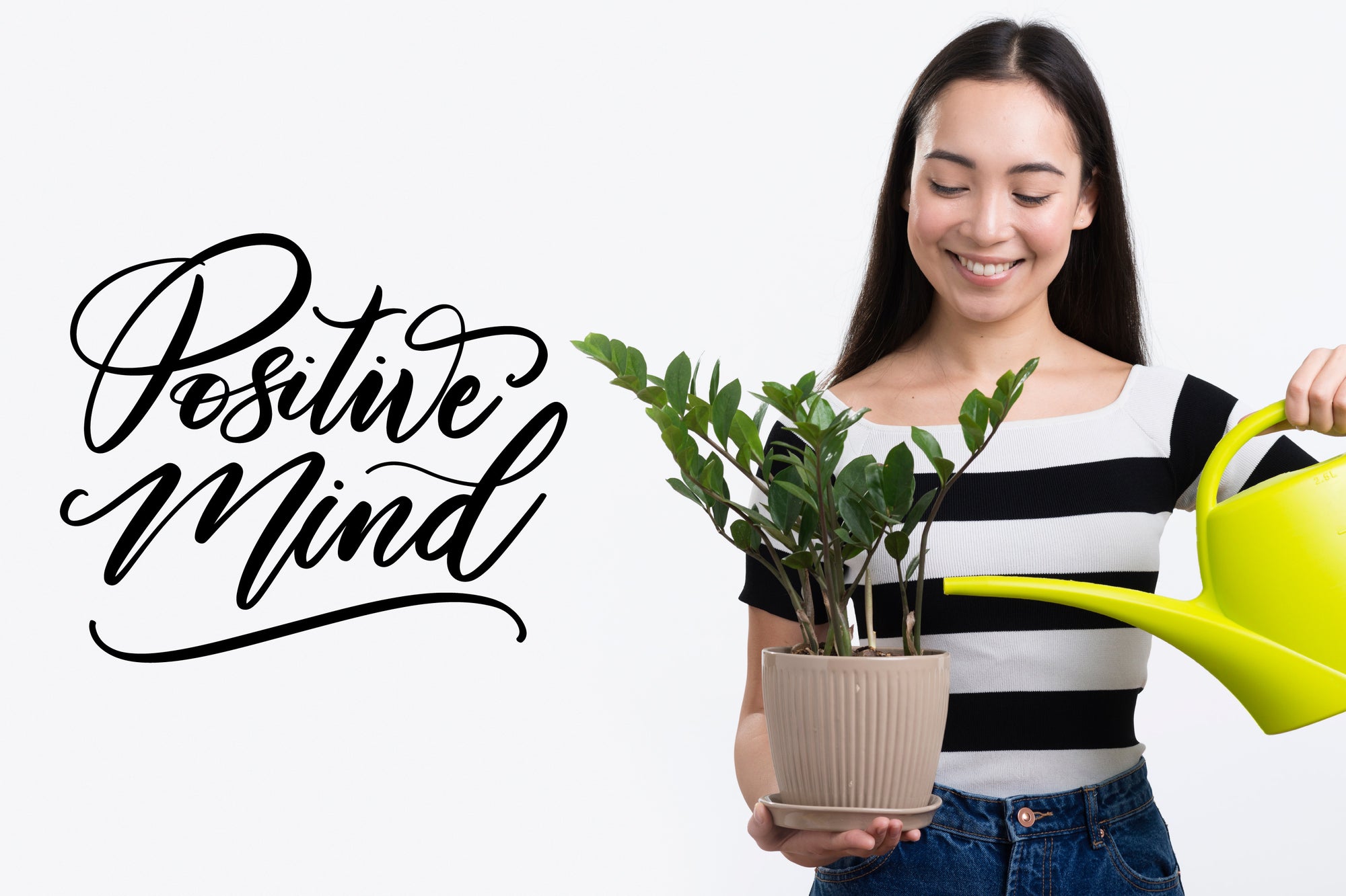 10 Plants That Boost Your Energy Levels – Ugaoo