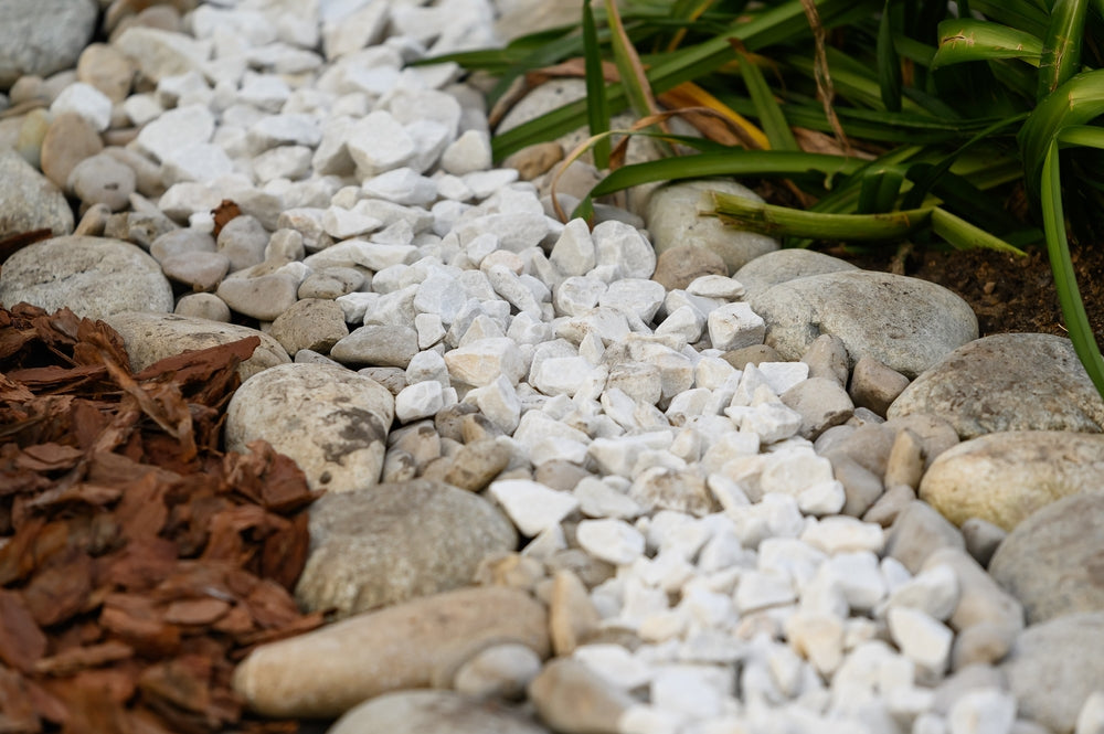 Choosing the Right Decorative Stones for Your Gardens – Ugaoo