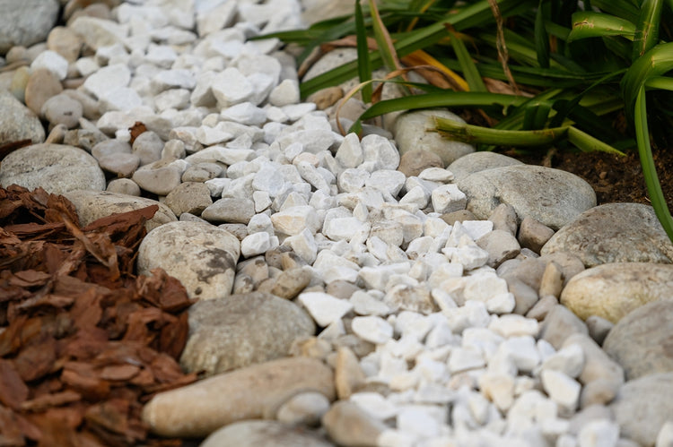 Choosing the Right Decorative Stones for Your Gardens – Ugaoo