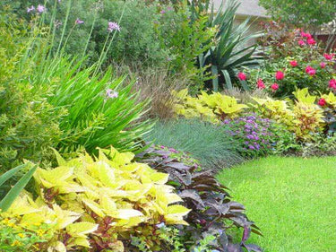 What is the Texture of your Garden Plants? – Ugaoo