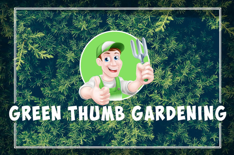 Are you a person with a green thumb? – Ugaoo