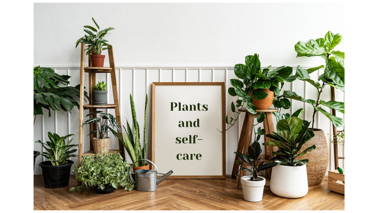 Do Plants Help You Strengthen Your Relationship with Yourself? – Ugaoo