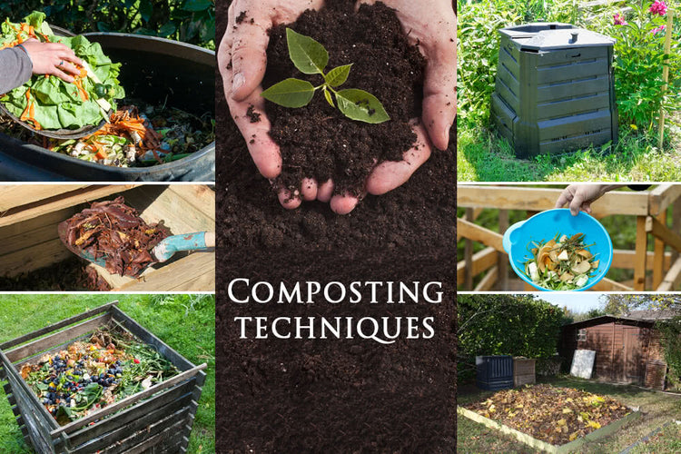 Easy Composting Techniques For You – Ugaoo