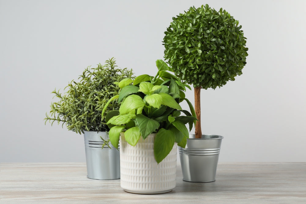 Metal Planters vs. Ceramic Planters: Which is Better for Your Garden ...