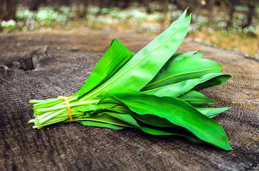 12 Wild Vegetables of India: A Monsoon Special – Ugaoo