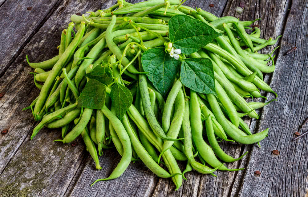 French Beans Images