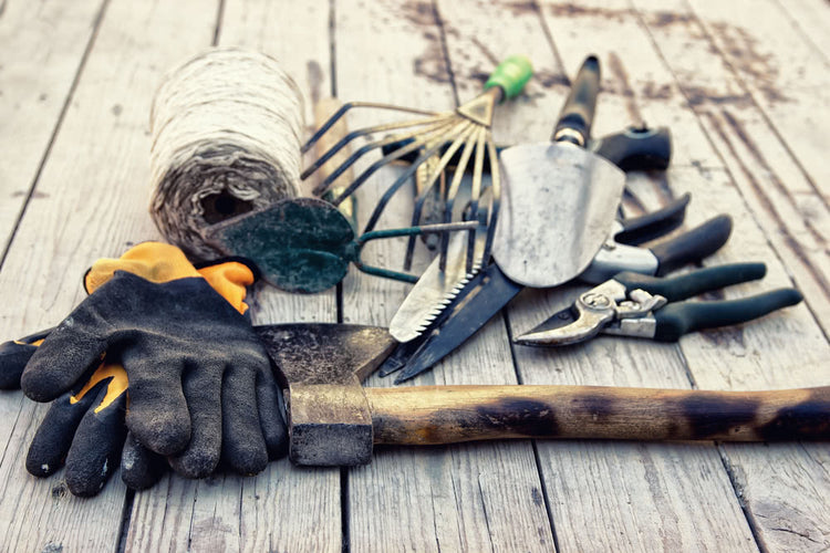 Tips to maintain your garden tools – Ugaoo