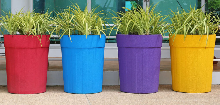 Soil Saving Tricks for Filling Large Planters – Ugaoo