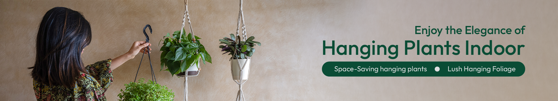 Buy Stylish Hanging Plants for Home Décor | Ugaoo