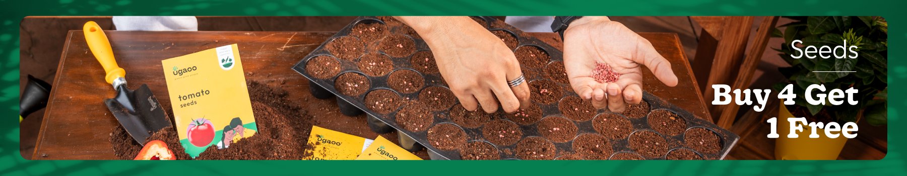 Buy High yielding Seeds Online In India | Non-GMO seeds – Ugaoo