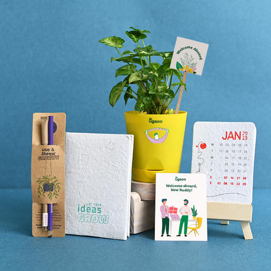 Employee welcome kit – Ugaoo