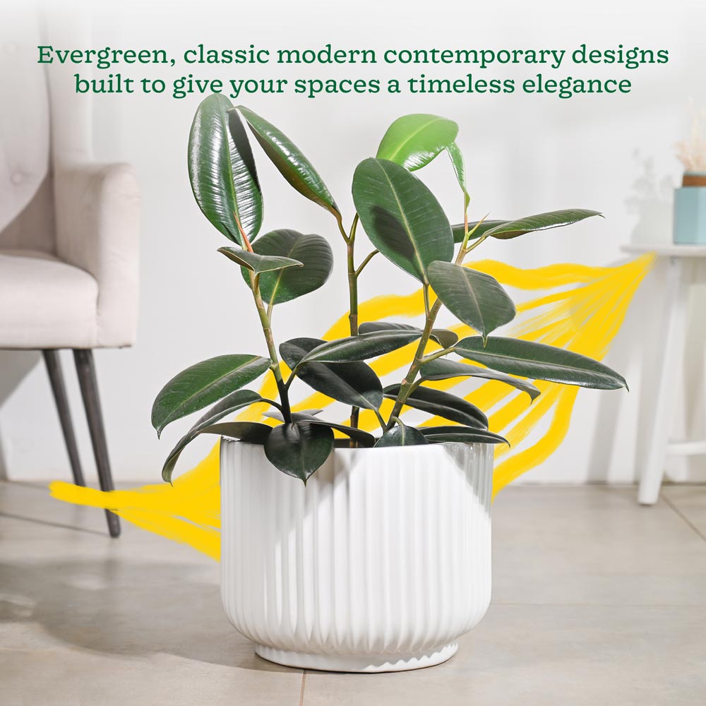 Phoenix Ceramic Pot (12.5 Inch Diameter) – Ugaoo