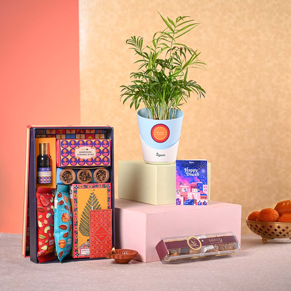 Bamboo Palm Plant & Phool Diwali Gift Hamper – Ugaoo