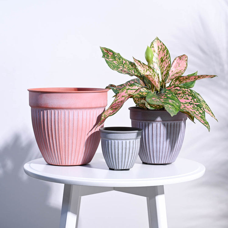 Buy Premium Metal Plant Pots | Stylish & Long-Lasting Garden Planters ...