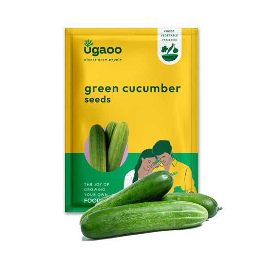 Buy High yielding Seeds Online In India | Non-GMO seeds – Ugaoo