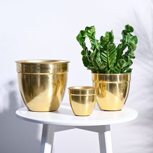 Buy Premium Metal Plant Pots | Stylish & Long-Lasting Garden Planters ...