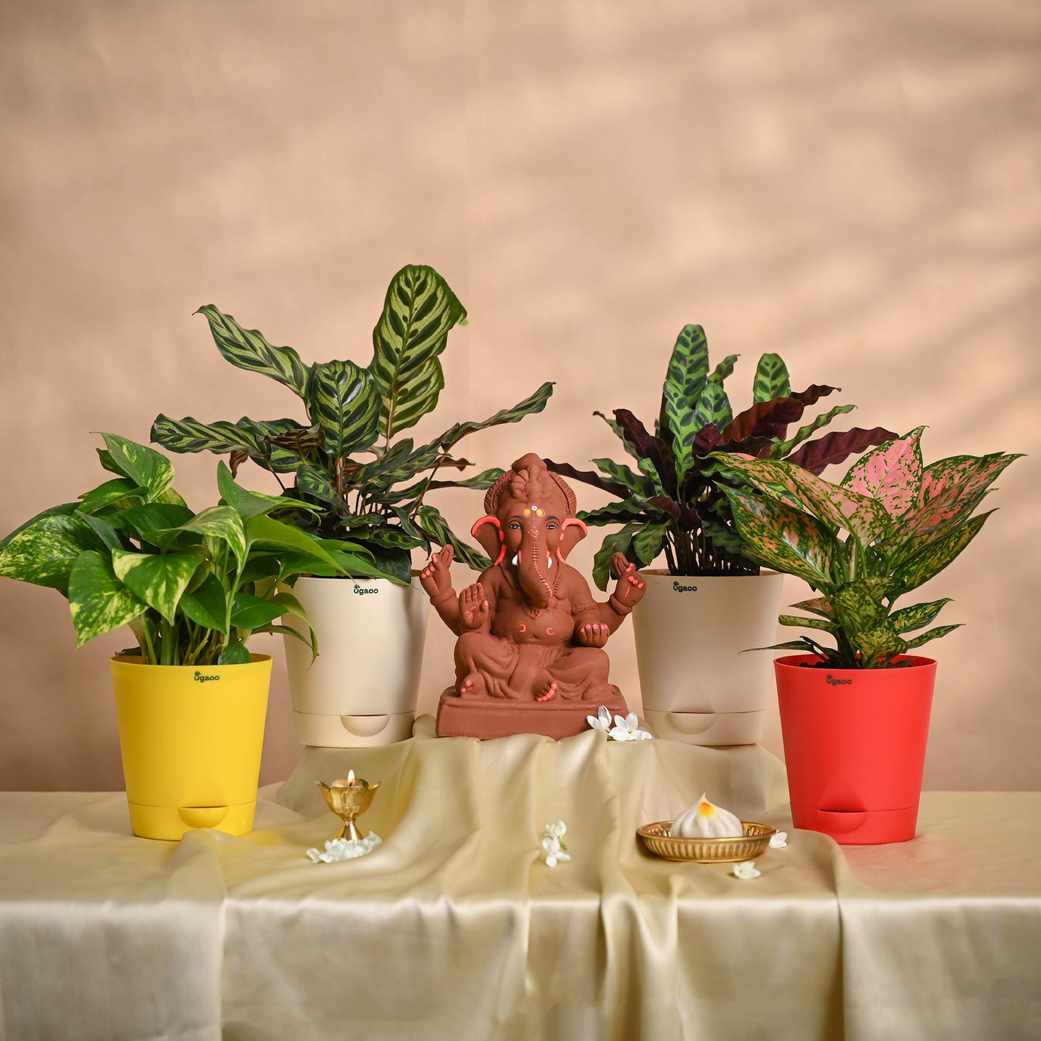 Buy Eco-Friendly Ganpati Décor | Plant Bundles for Festive Vibes – Ugaoo