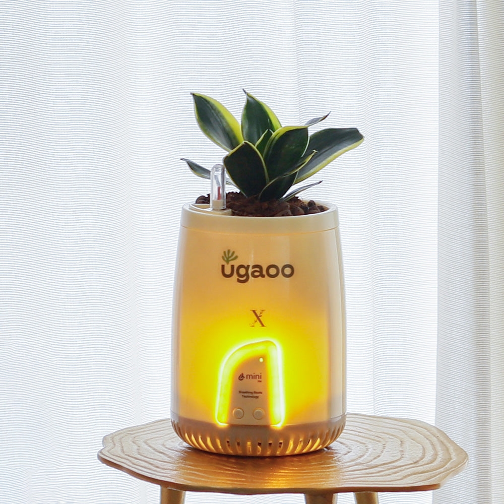 Buy Top Room Air Purifiers for your home | Breathe Fresh, Live Better ...
