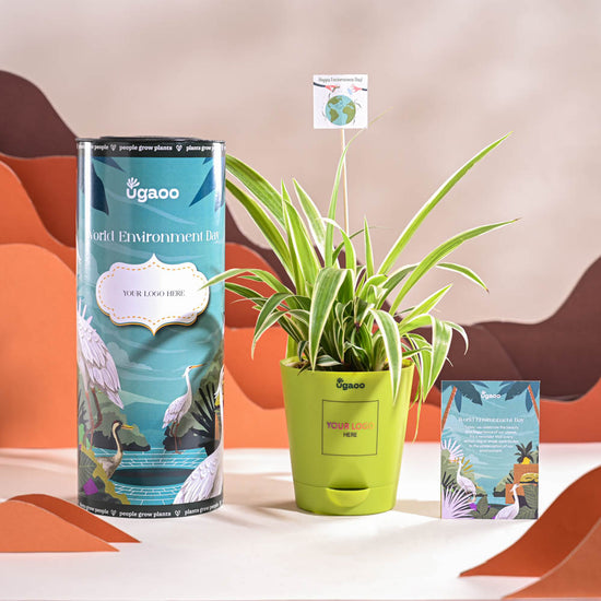 Environment & Earth Day Plants: Shop Green Gifts for Eco-Friendly ...