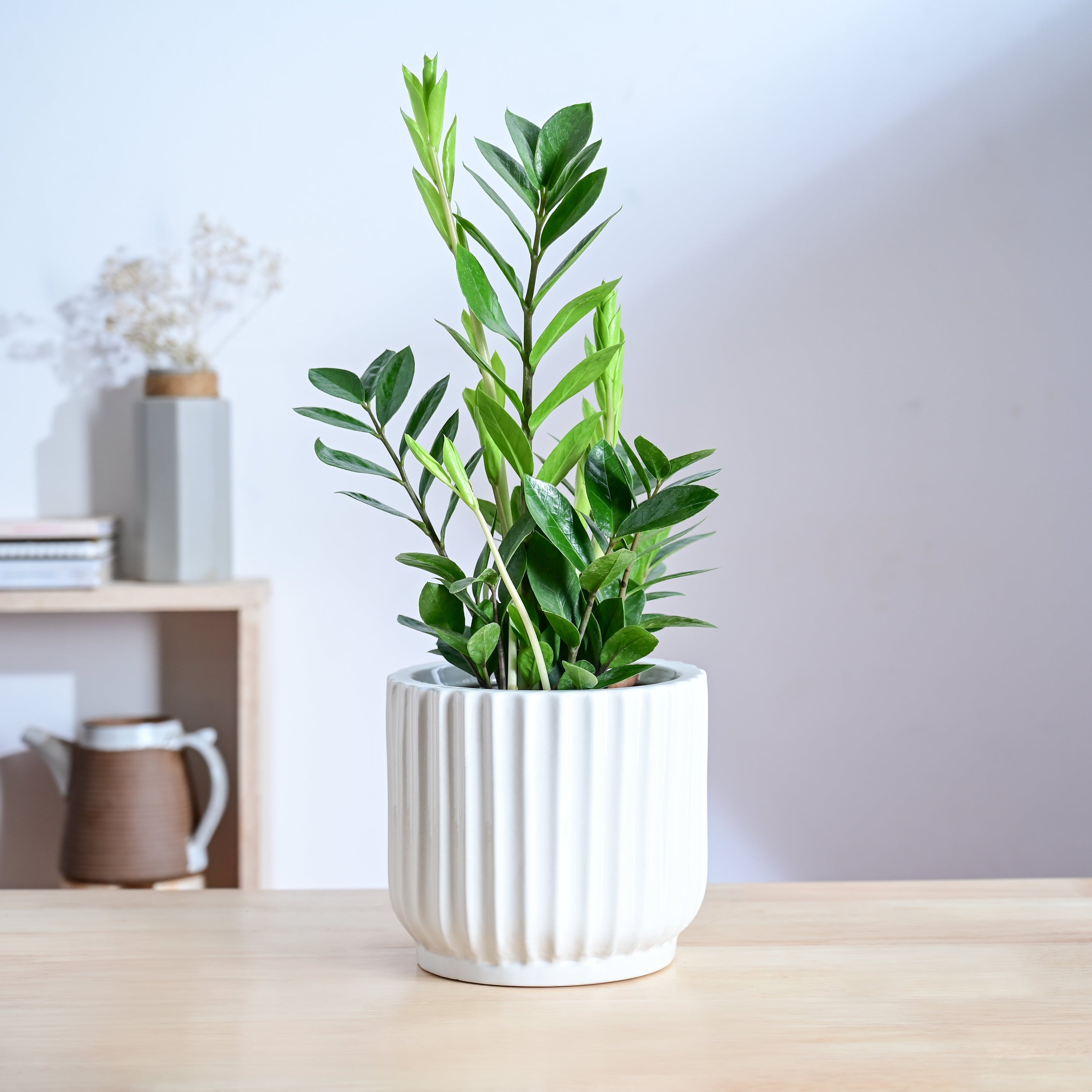 Phoenix ceramic Planter