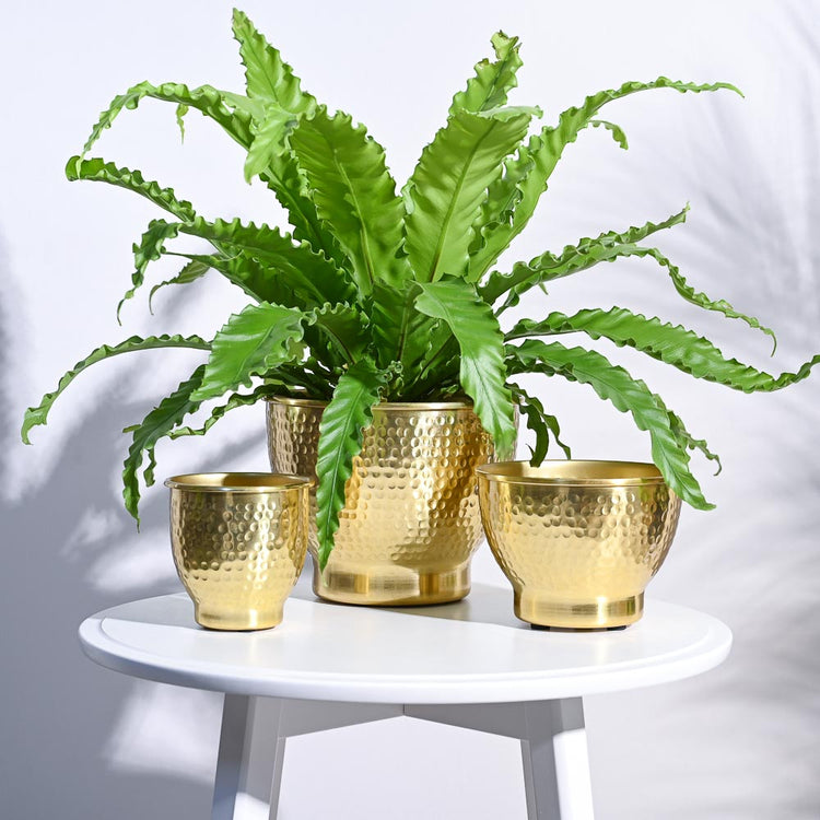 Buy Premium Metal Plant Pots | Stylish & Long-Lasting Garden Planters ...