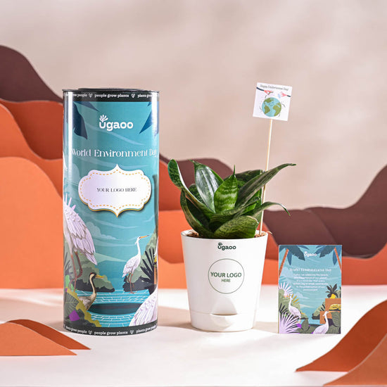 Environment & Earth Day Plants: Shop Green Gifts for Eco-Friendly ...