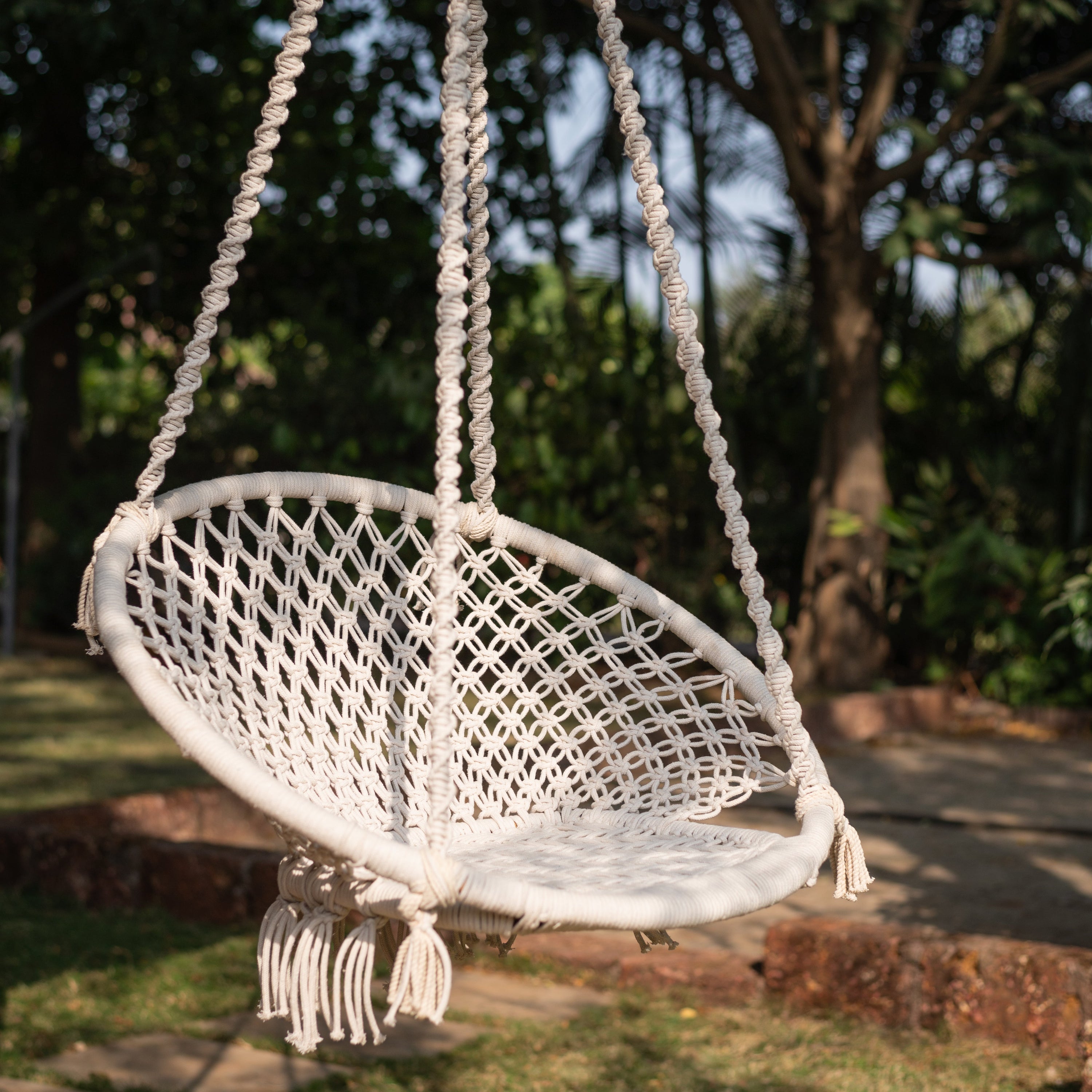Buy cotton rope swing for home | Safe Home Delivery | Ugaoo
