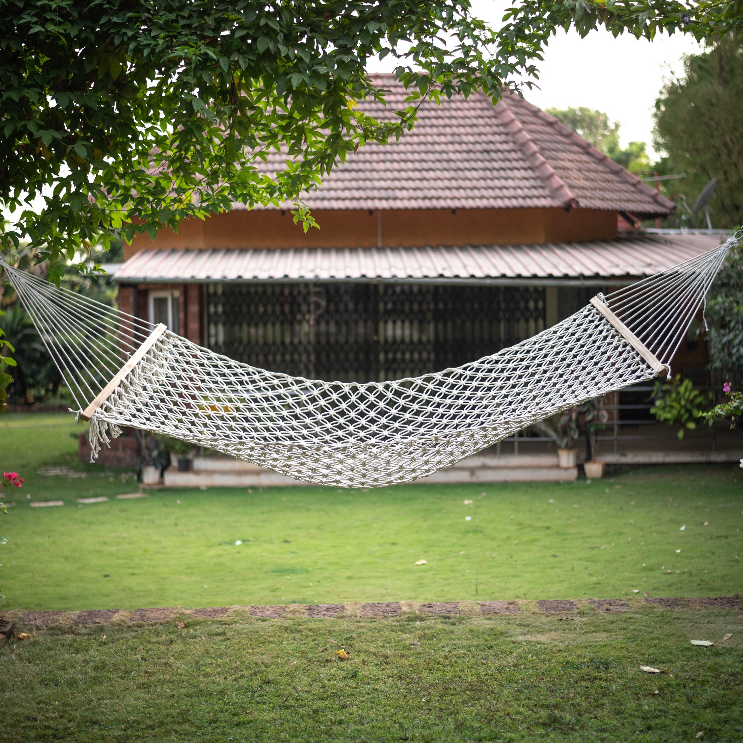 Cotton Mayan Hammock – Ugaoo