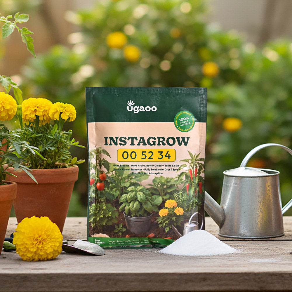Ugaoo InstaGrow 00:52:34 – High Phosphorus NPK Fertilizer for Flowering ...