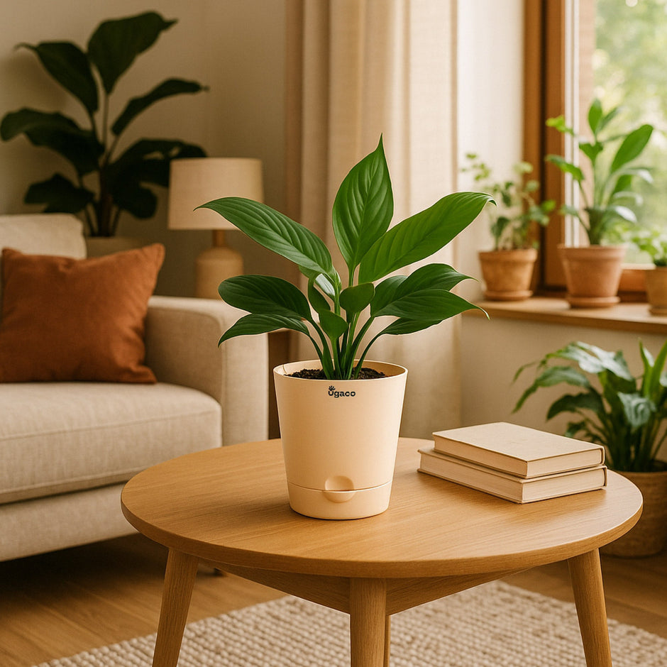 21 Leaves for Ganesh Pooja – Ugaoo