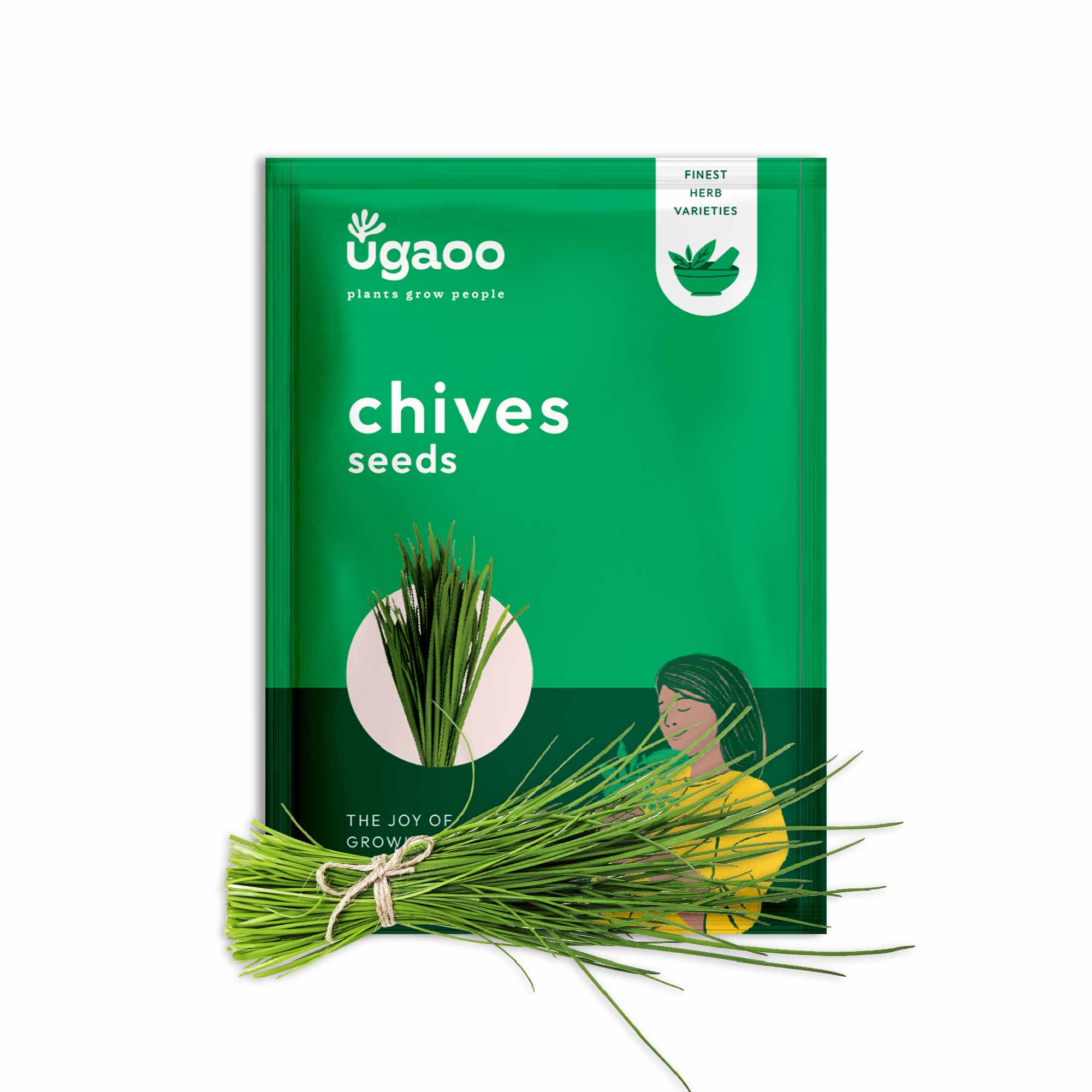 Chives Seeds – Ugaoo