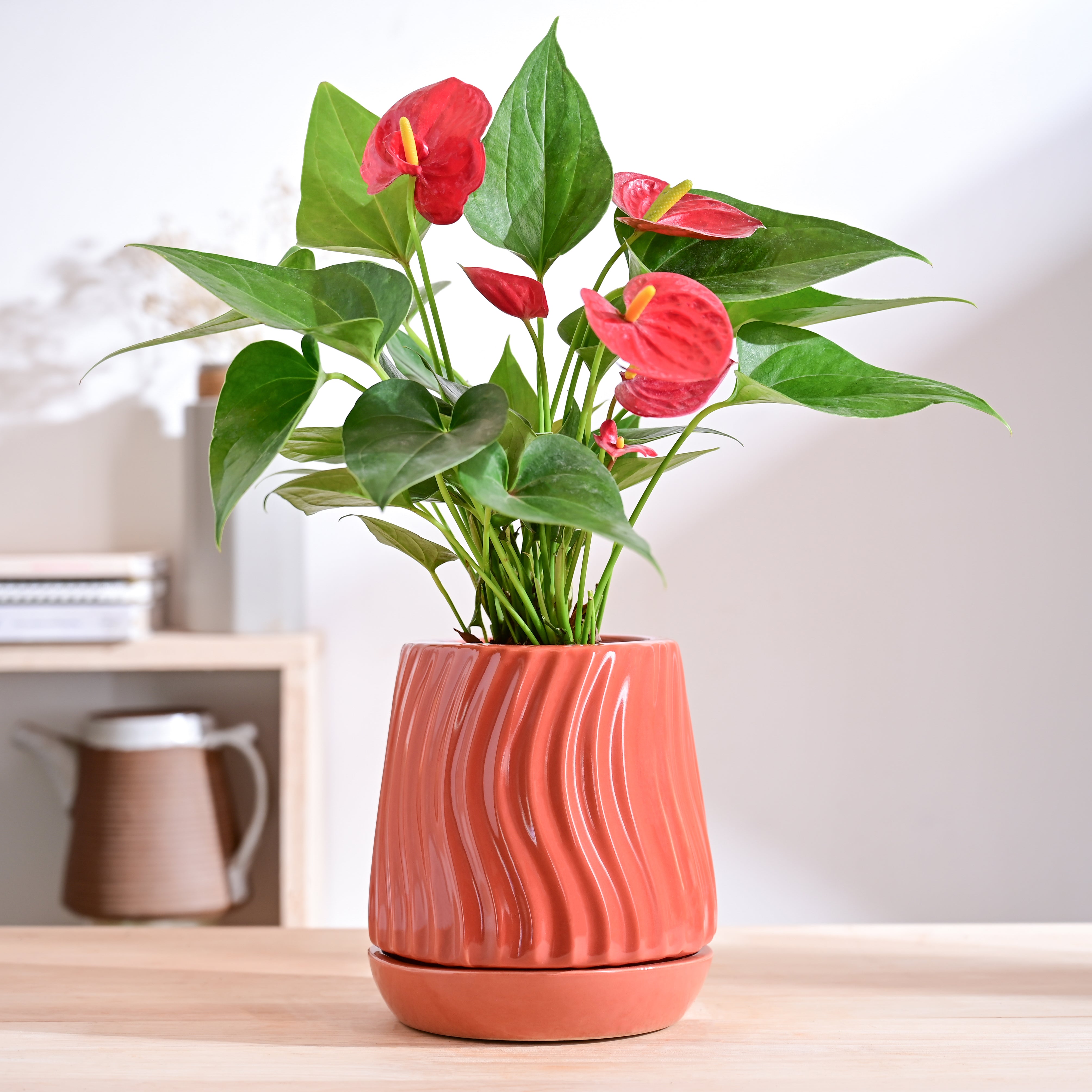 Fallen Angel Ceramic Planter – Ugaoo