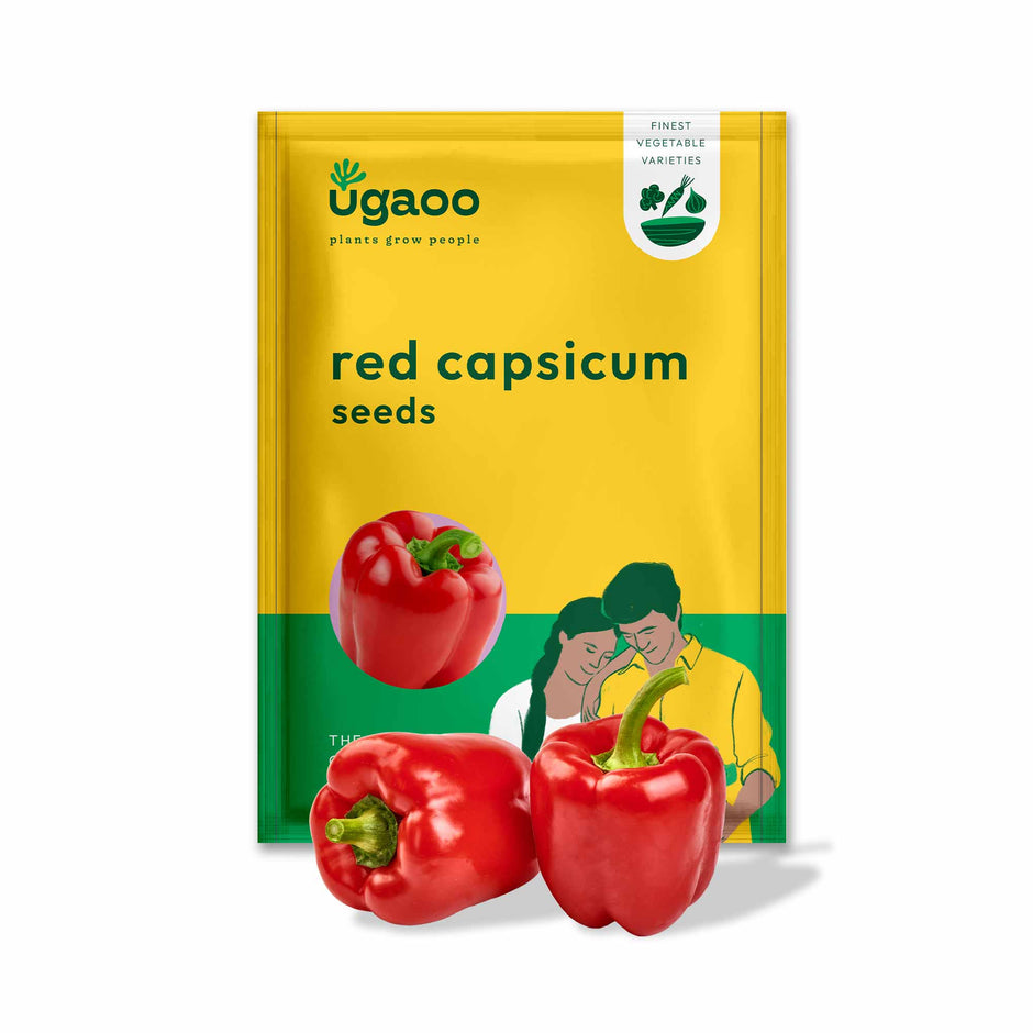 Buy High yielding Seeds Online In India | Non-GMO seeds – Ugaoo