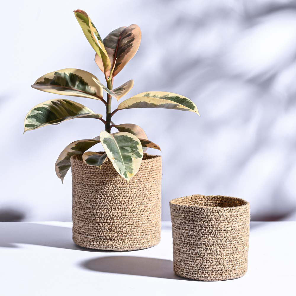 Meadow Planter - Set of 2 – Ugaoo