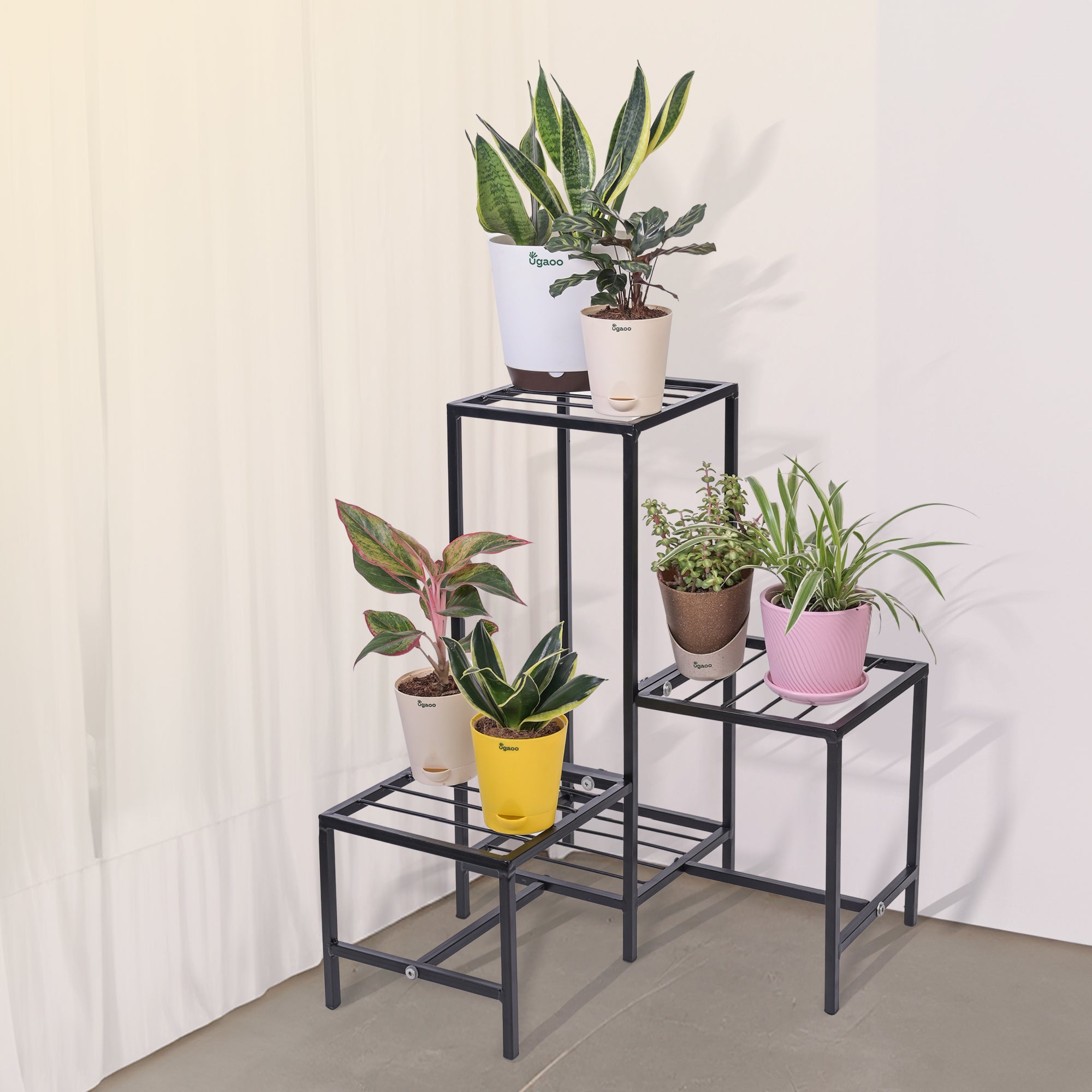 Buy Corner Plant Stand - Stylish & Space-Saving Plant Display | Ugaoo