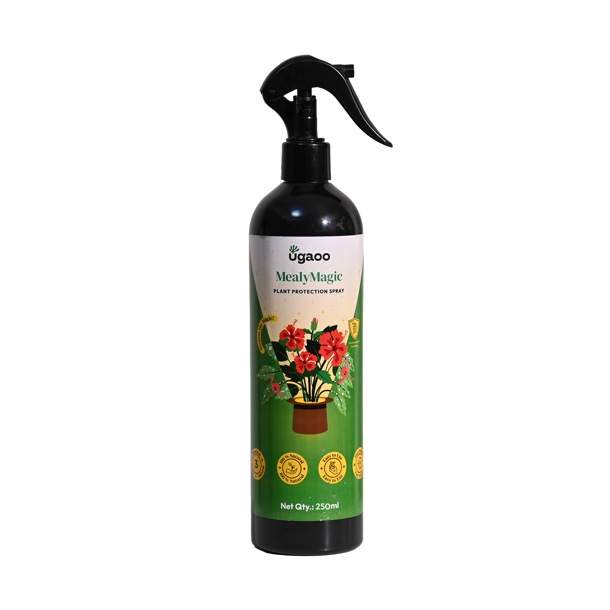 Buy Effective Mealybug Spray: An Eco-friendly & Natural Insecticide for ...