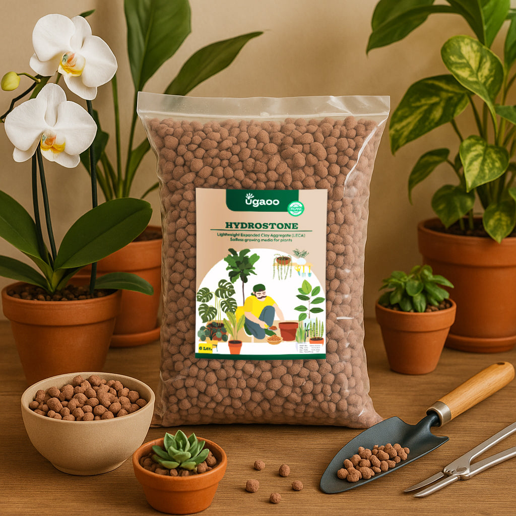Buy Hydrostone Leca Balls for Plants | Hydroponic Plant Growth ...