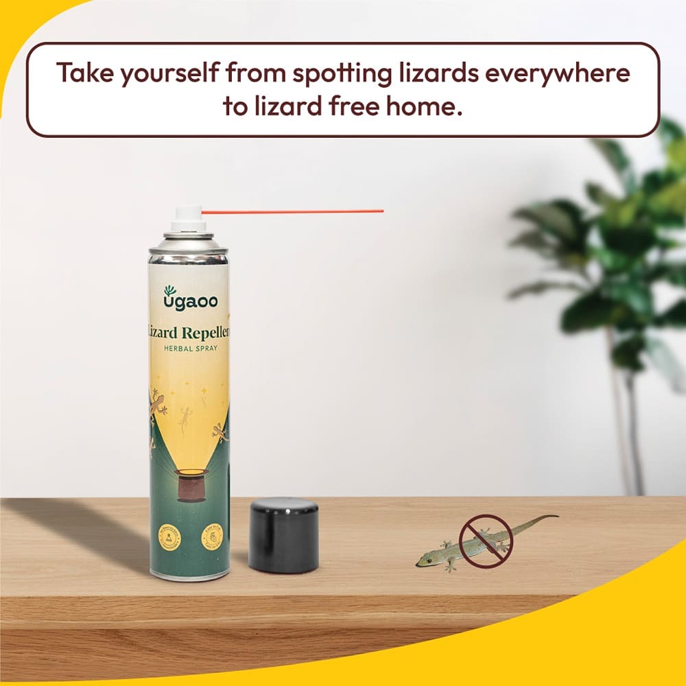 Buy Natural Lizard Repellent Spray: Safe Solution for Pest Control