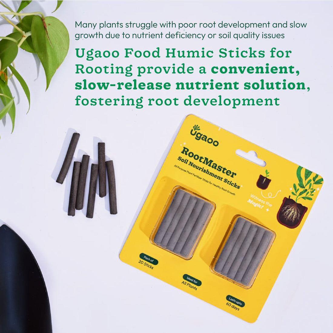 Plant Growth Sticks Pack | Promote Healthy Growth & Blooms