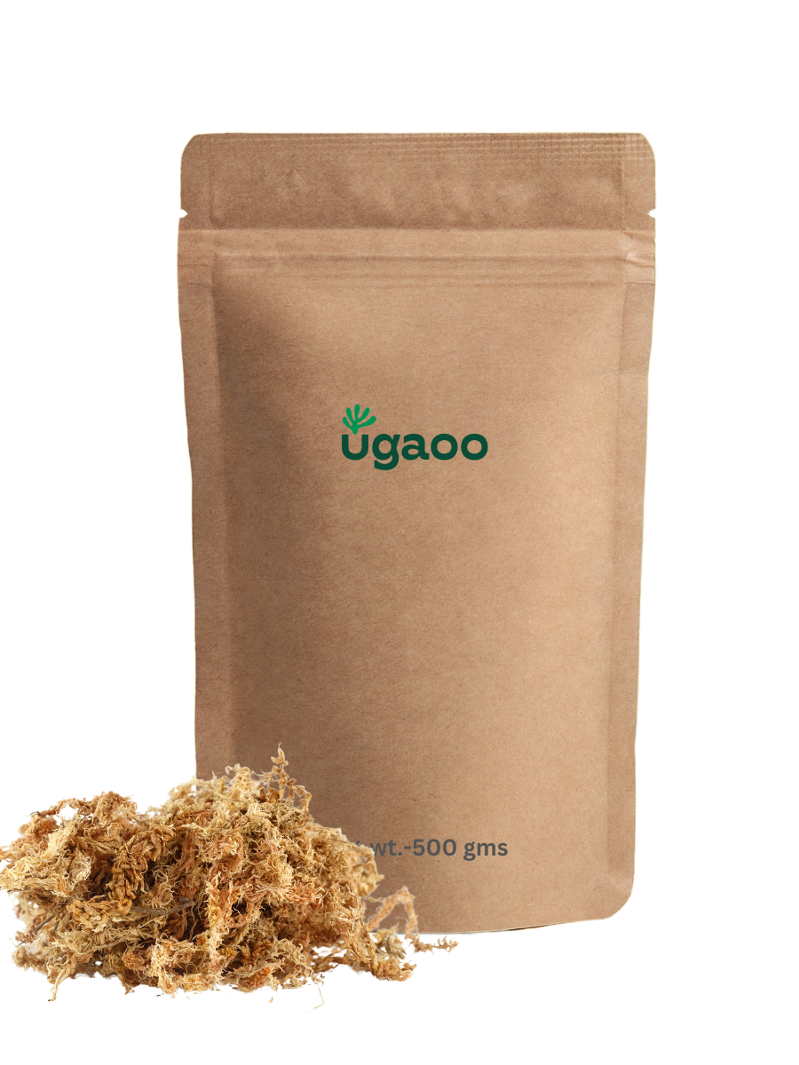 Moss 500 g – Ugaoo