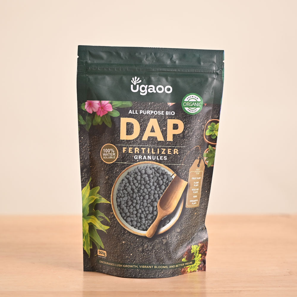 Buy Bio DAP Fertilizer for Plants | Boost Growth & Root Health – Ugaoo