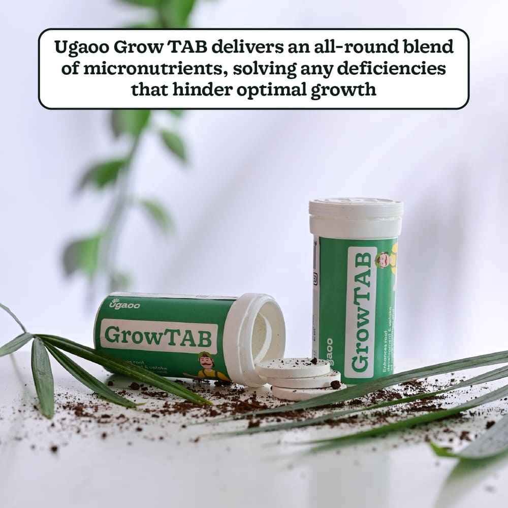 Grow TAB Fertilizers: Water Soluble Micro-nutrient Tablets for Plants ...