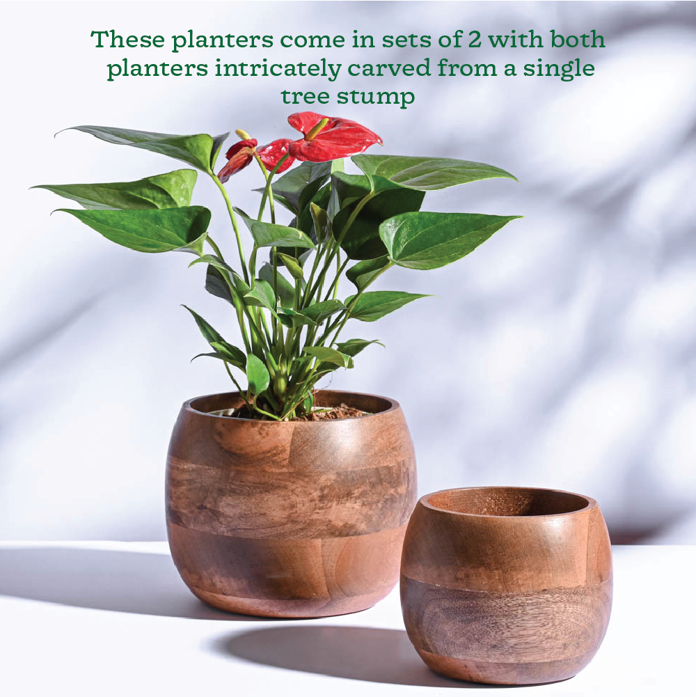 Orbit Wooden Planter - Set of 2 – Ugaoo