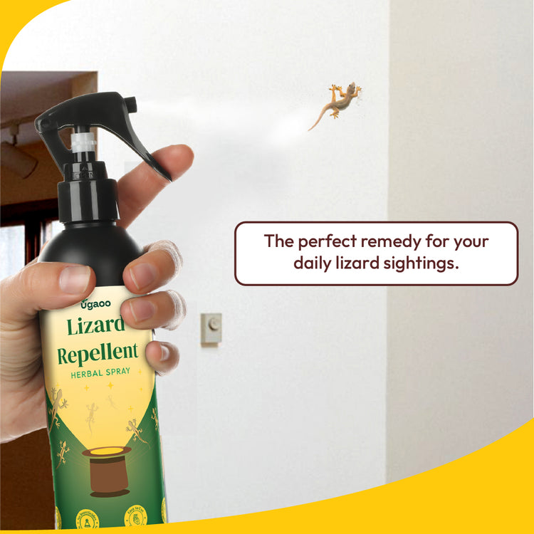 Buy Natural Lizard Repellent Spray: Safe Solution for Pest Control