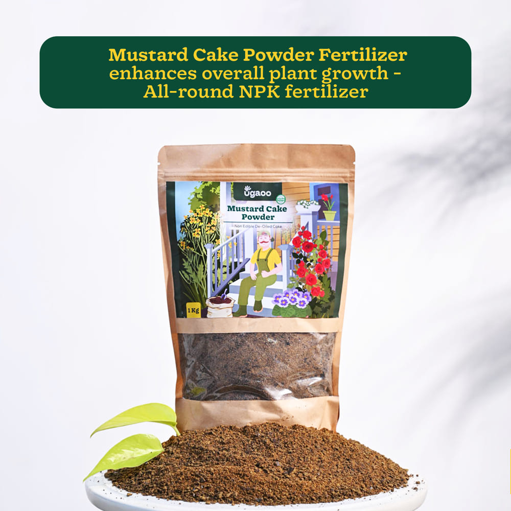 Buy Mustard Cake Powder: Natural Plant Growth Booster