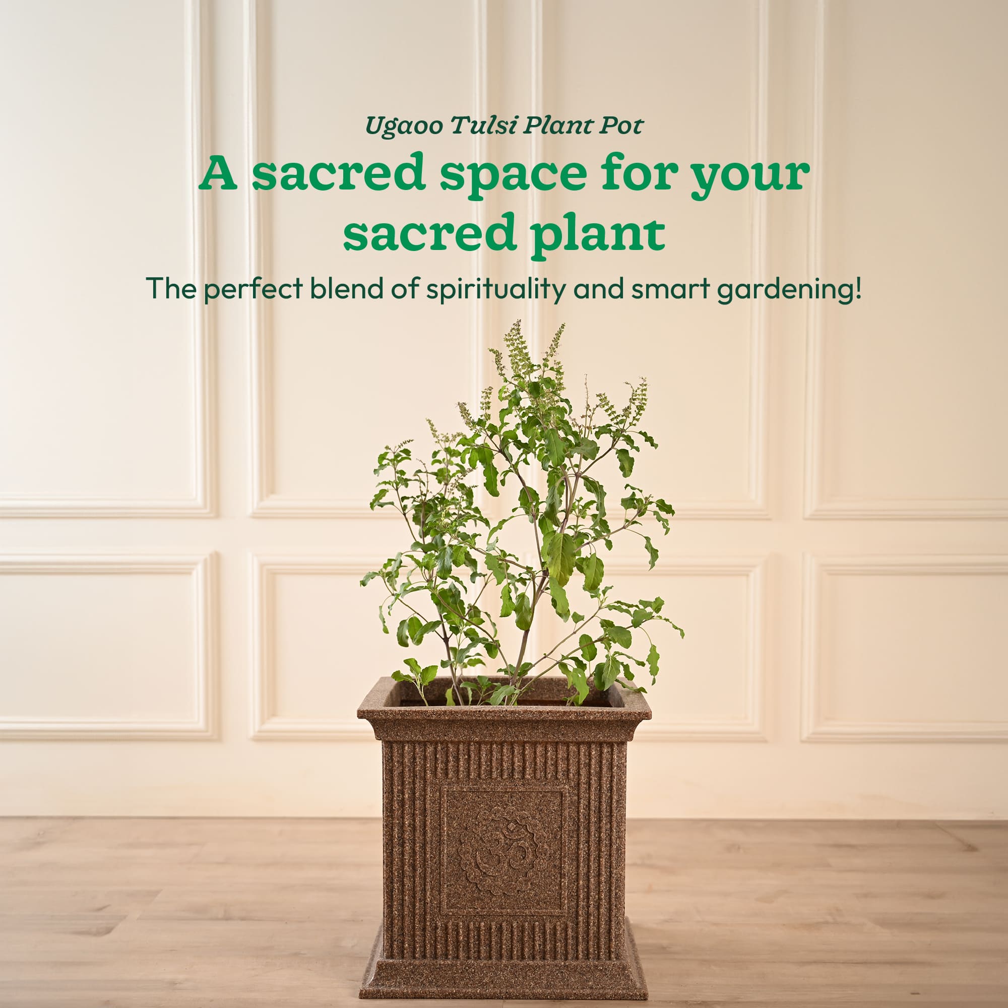Buy Plastic Pot for Tulsi Plant | Durable & Elegant | Ugaoo