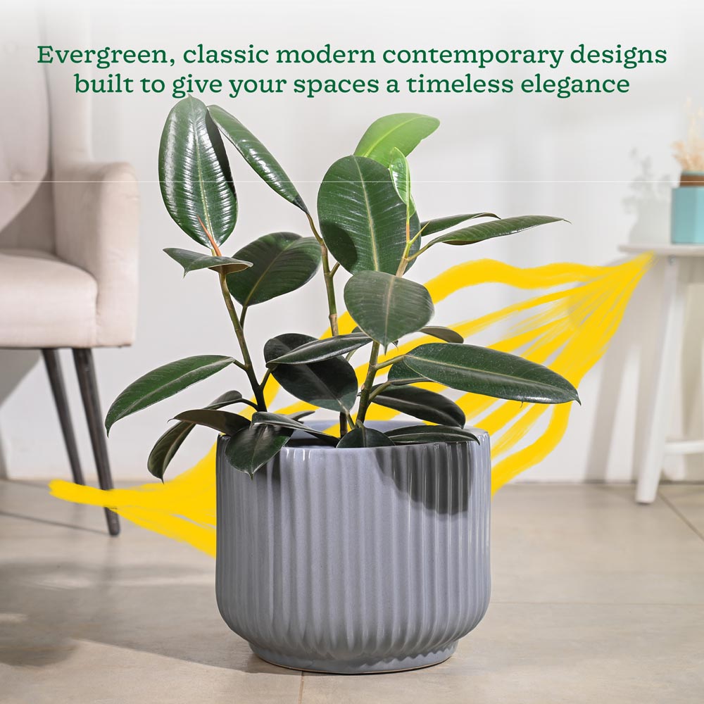 Phoenix Ceramic Pot (12.5 Inch Diameter) – Ugaoo