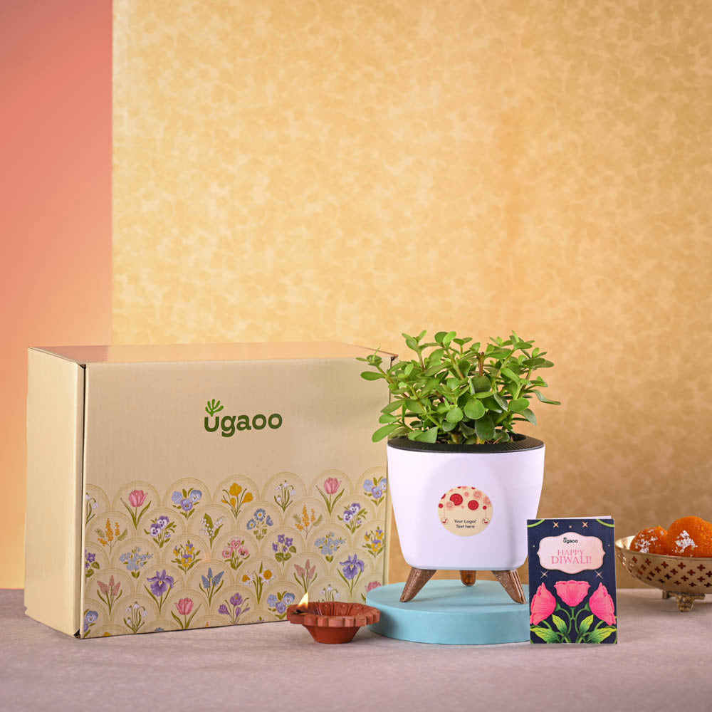 Jade Mini & Nutki Gourmet Nut Mix Diwali Gift Hamper – Ugaoo