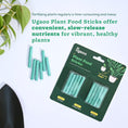 Plant Growth Sticks Pack | Promote Healthy Growth & Blooms