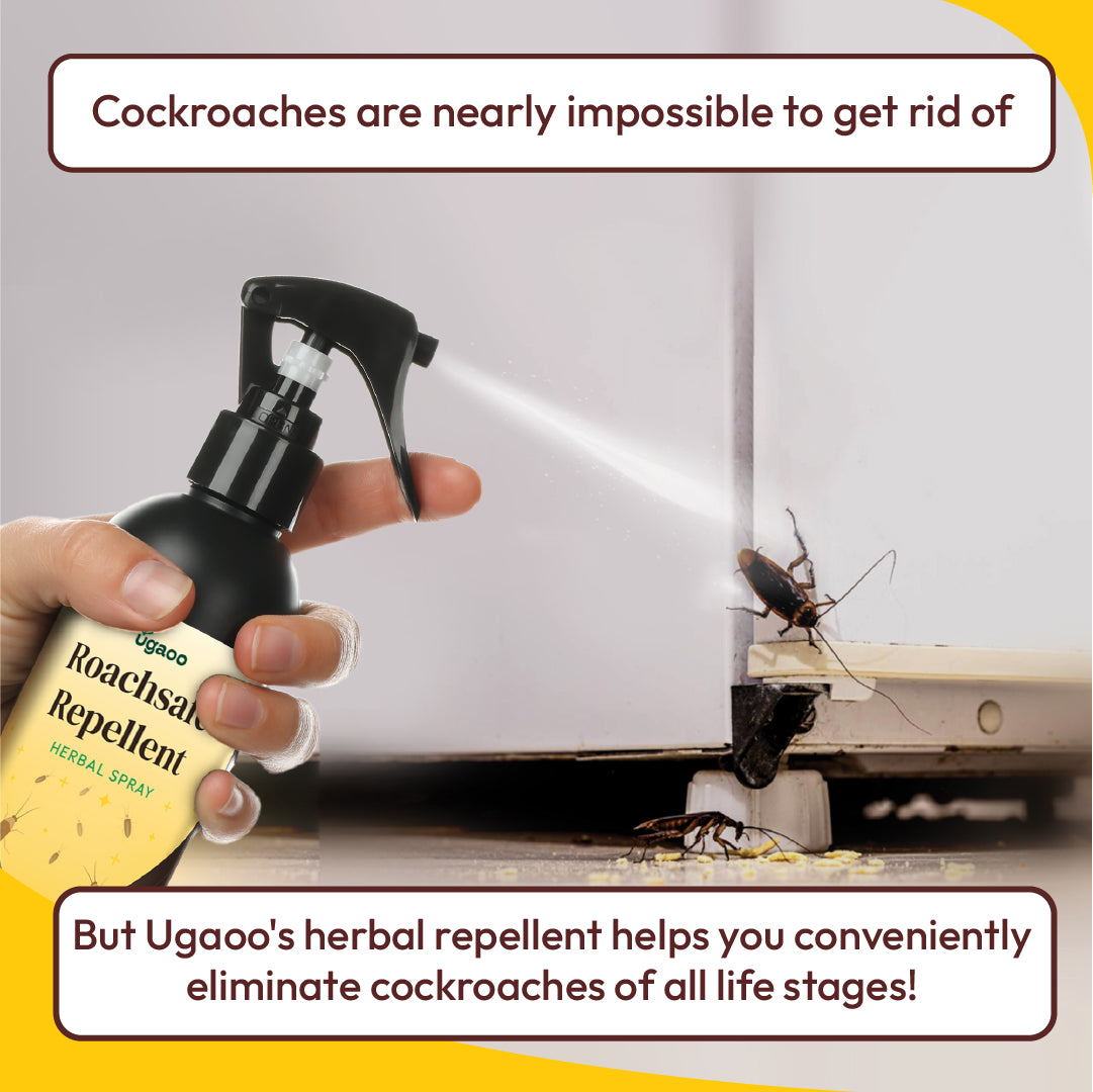Buy the Powerful Cockroach Repellent: An Ultimate Roach Killer Spray ...